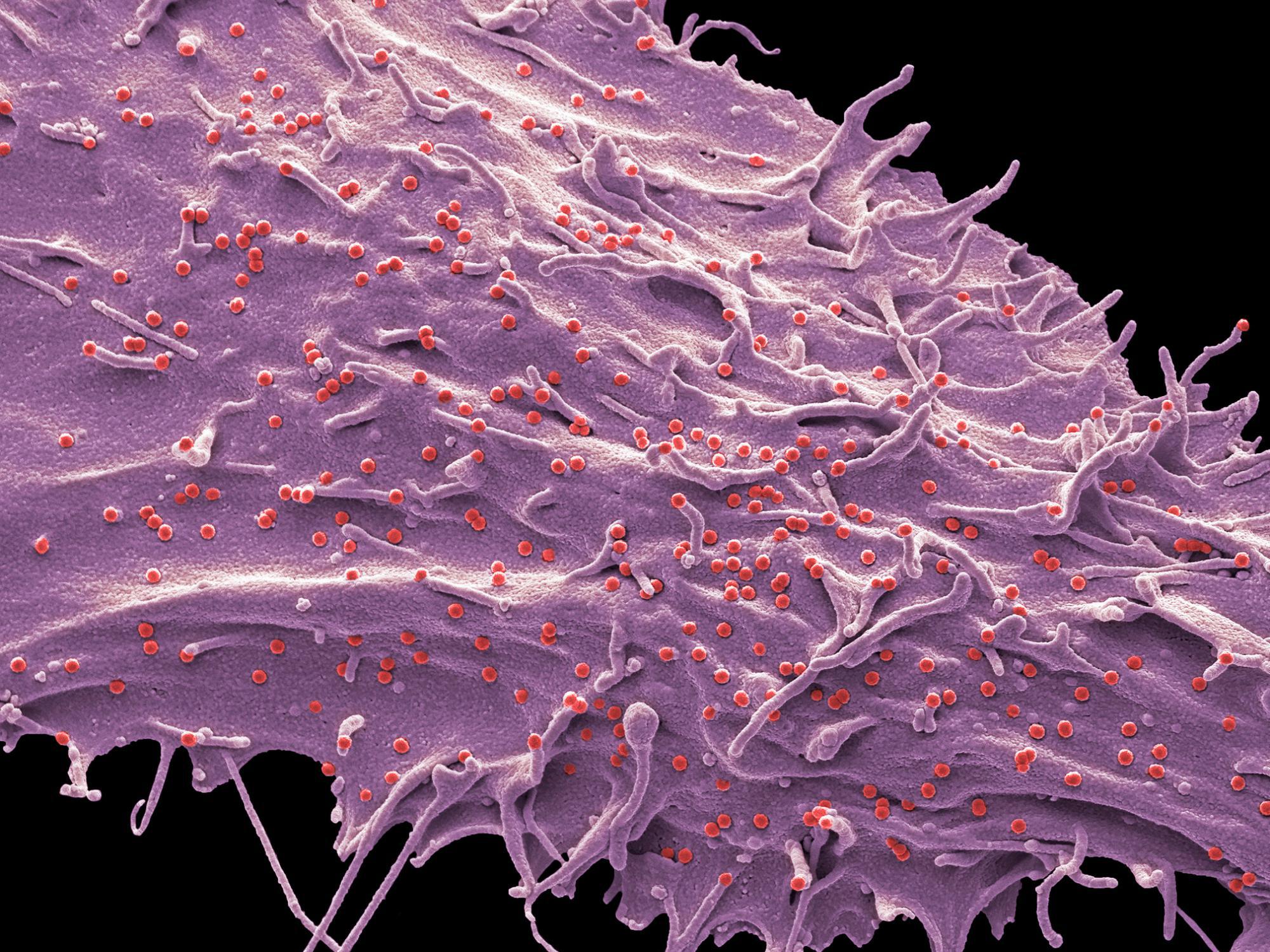 Exossomos: o que são, benefícios e como funcionam no skincare